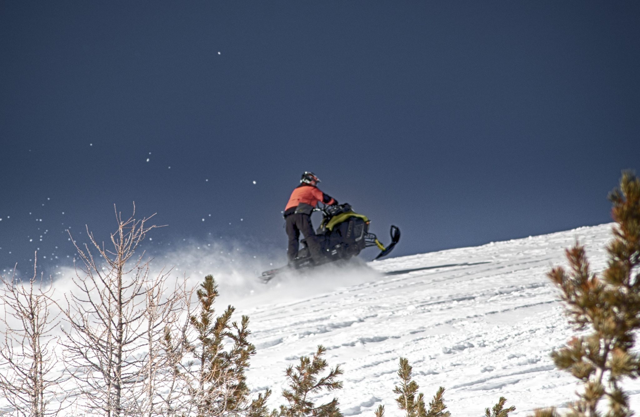 New Ski-Doo Summit SP 850 cc Mountain Sleds - Toby Creek Adventures ...