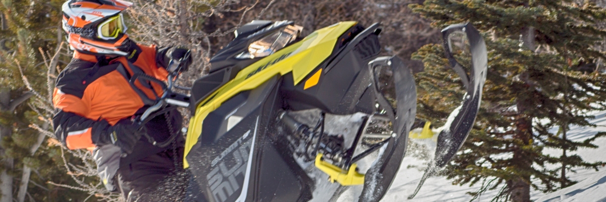 Canadian Rockies Snowmobile Tours - Banff, Canmore and Panorama, BC