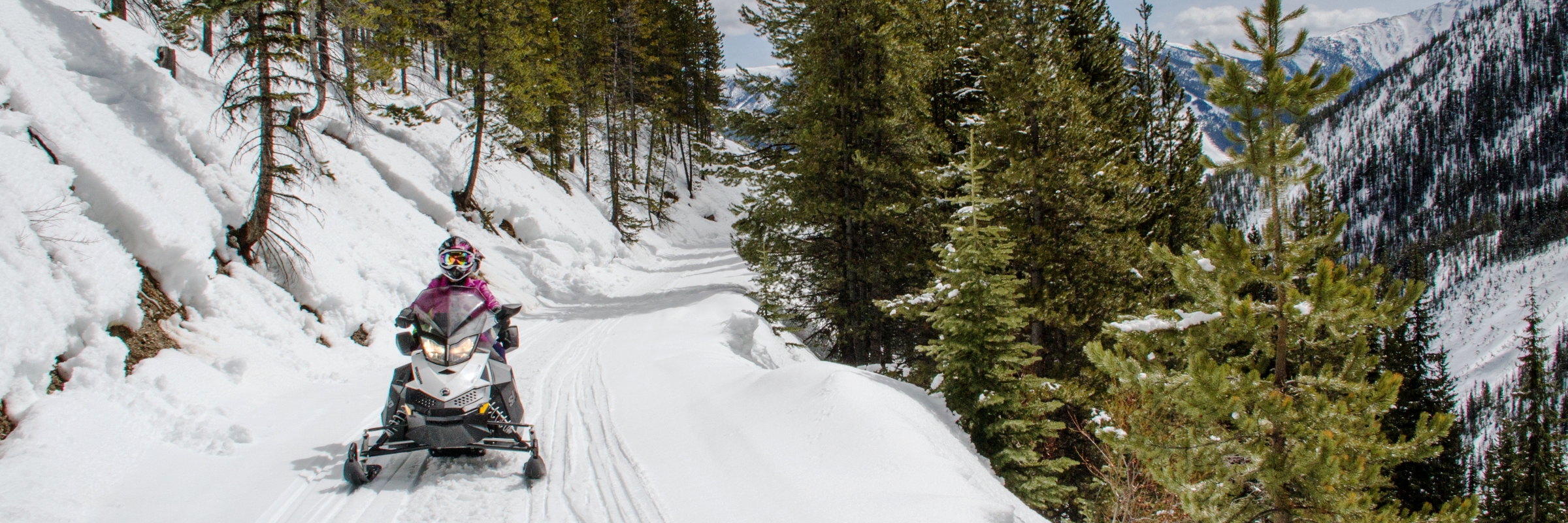Canadian Rockies Snowmobile Tours - Banff, Canmore and Panorama, BC