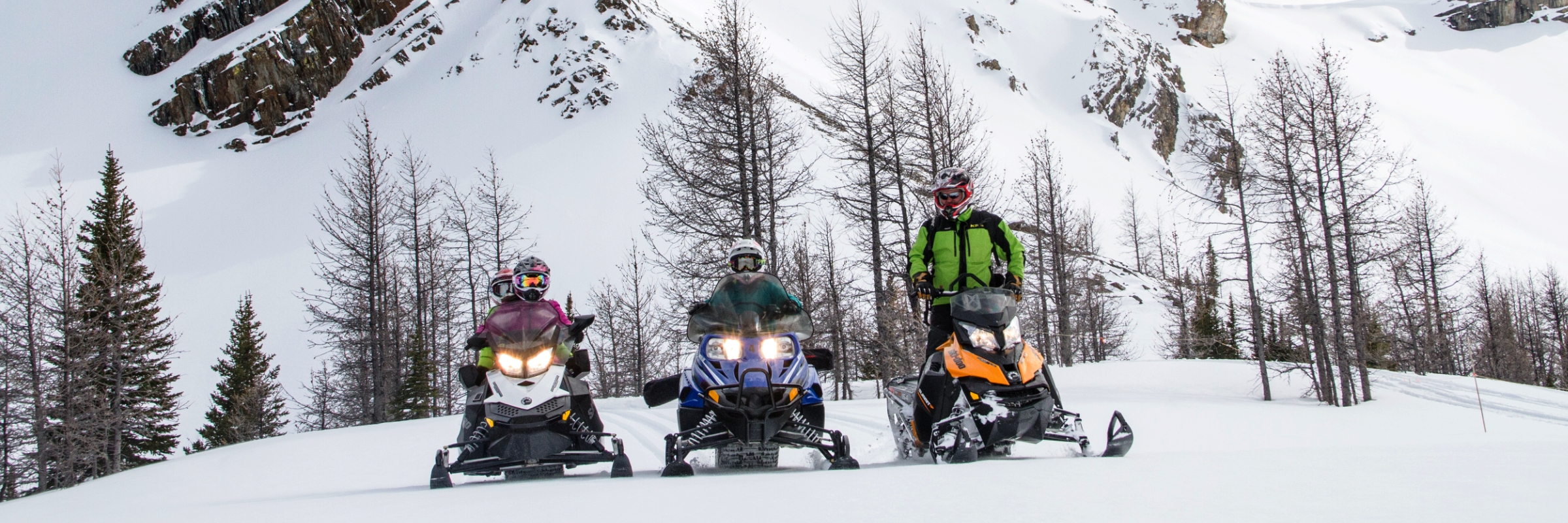 Canadian Rockies Snowmobile Tours - Banff, Canmore and Panorama, BC
