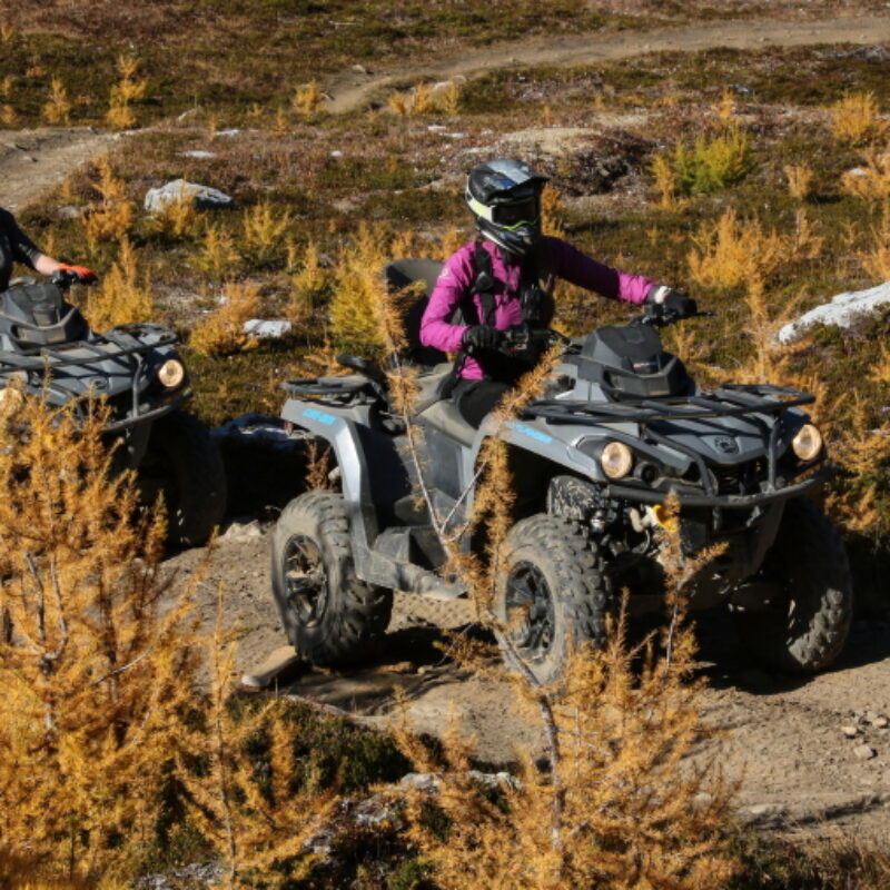 Larches in Paradise - Toby Creek Adventures | Guided Snowmobile and ATV Tours