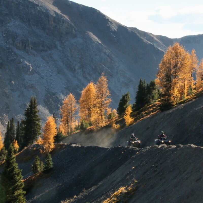 Larches In Paradise Toby Creek Adventures Guided Snowmobile And Atv