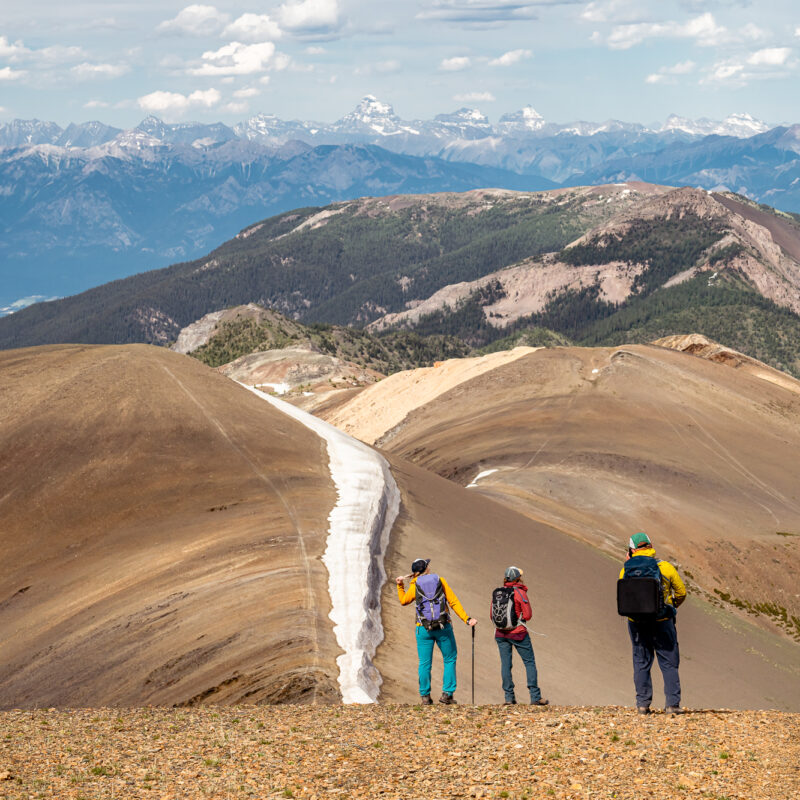 Summits & Side x Sides - Toby Creek Adventures | Guided Snowmobile and ...